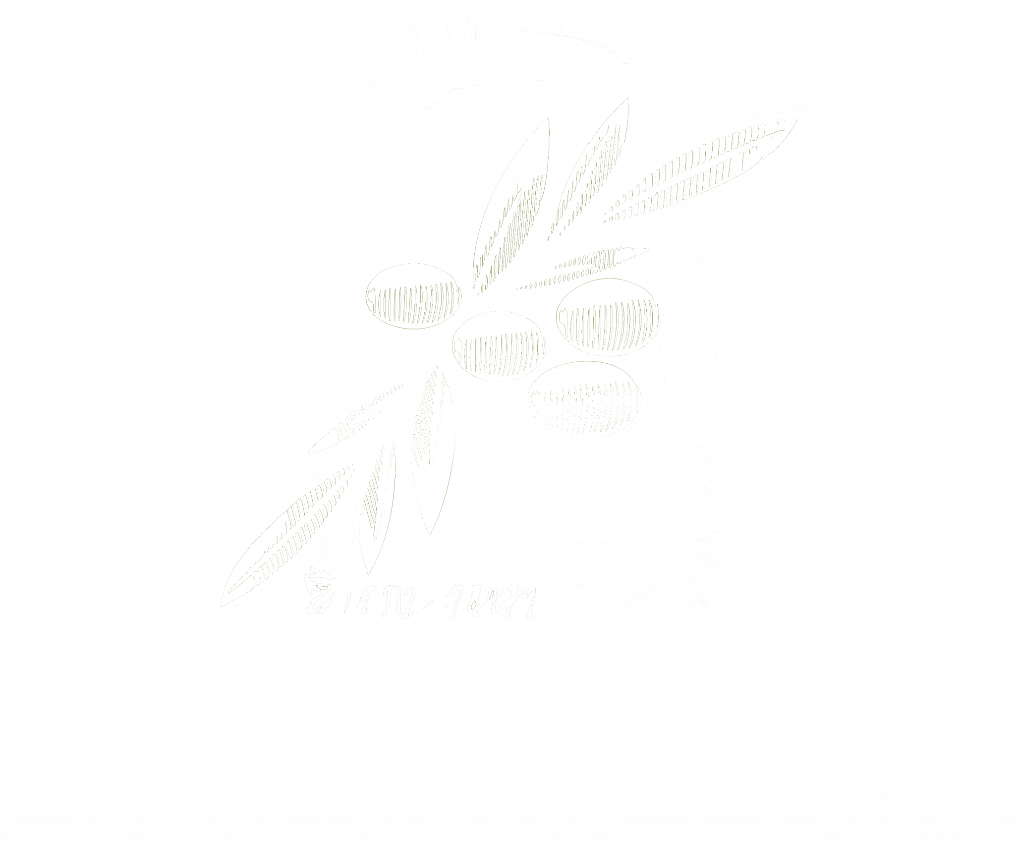 Casa delle Olive – Willkommen bei Casa delle Olive. Wo Neapolitanische ...
